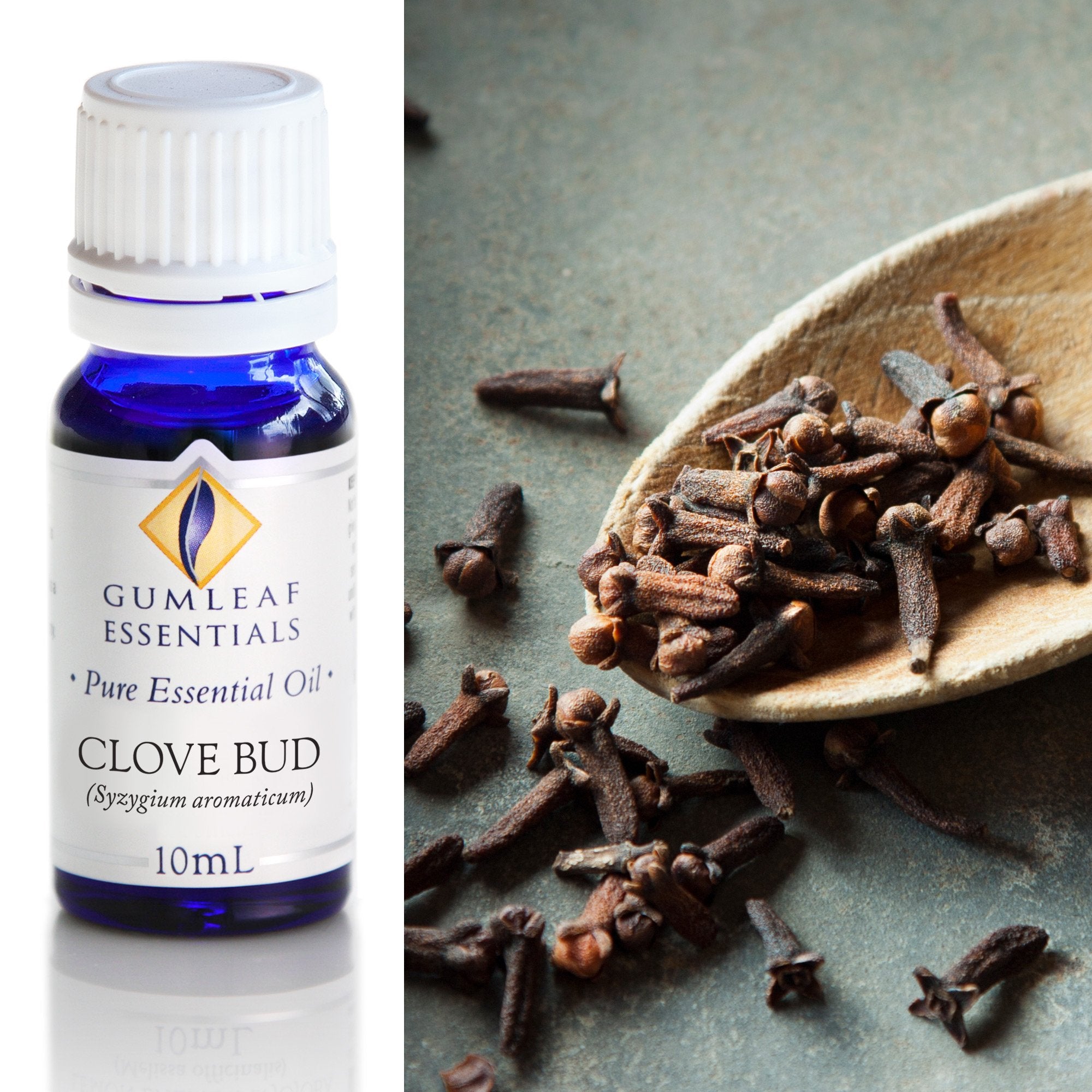 Clove Bud Essential Oil - 10ml – Seaside Aromas